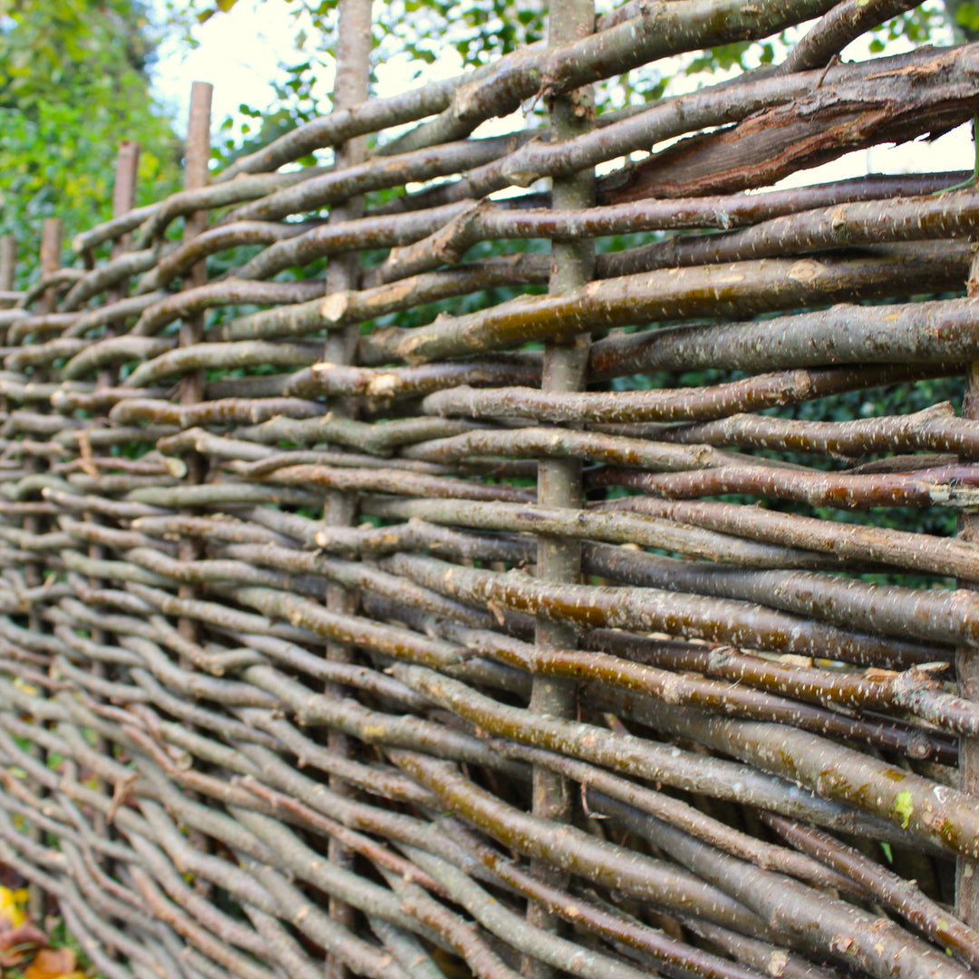 Wicker fence panels store