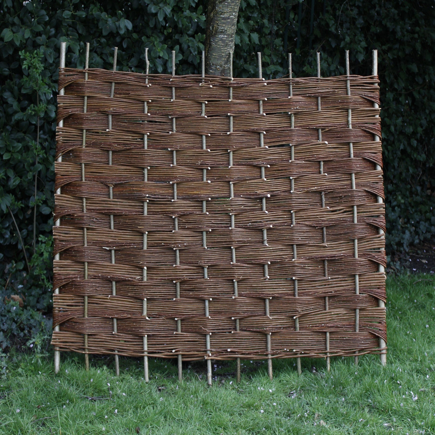 Willow Fence Panel Hurdle Prestige Wicker willow-fence-panel-hurdle-prestige-wicker